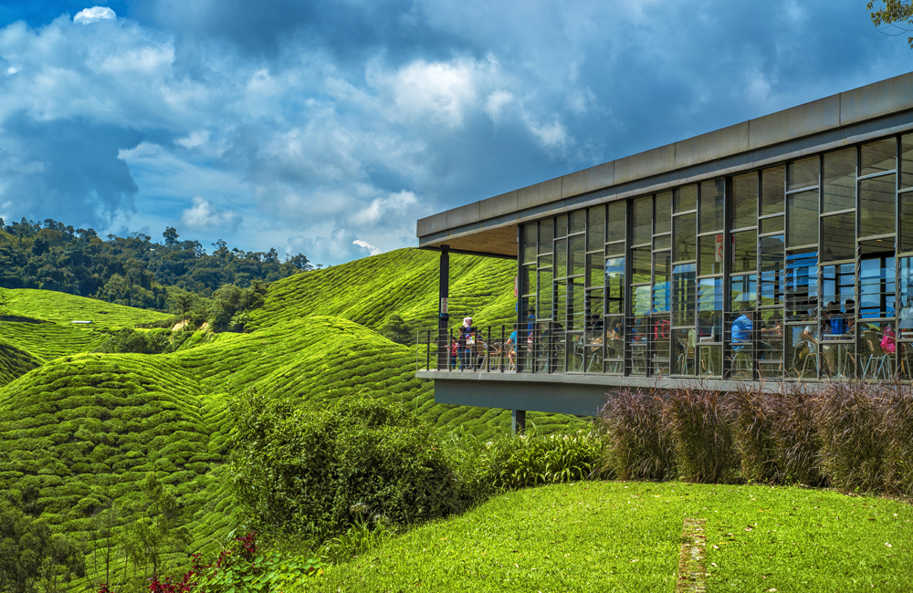 Attractions | Zenith Suites Cameron